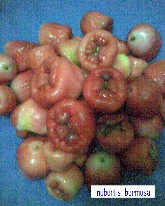 E2=Educational & Entertainment Hub: The Most Popular Fruits in the ...