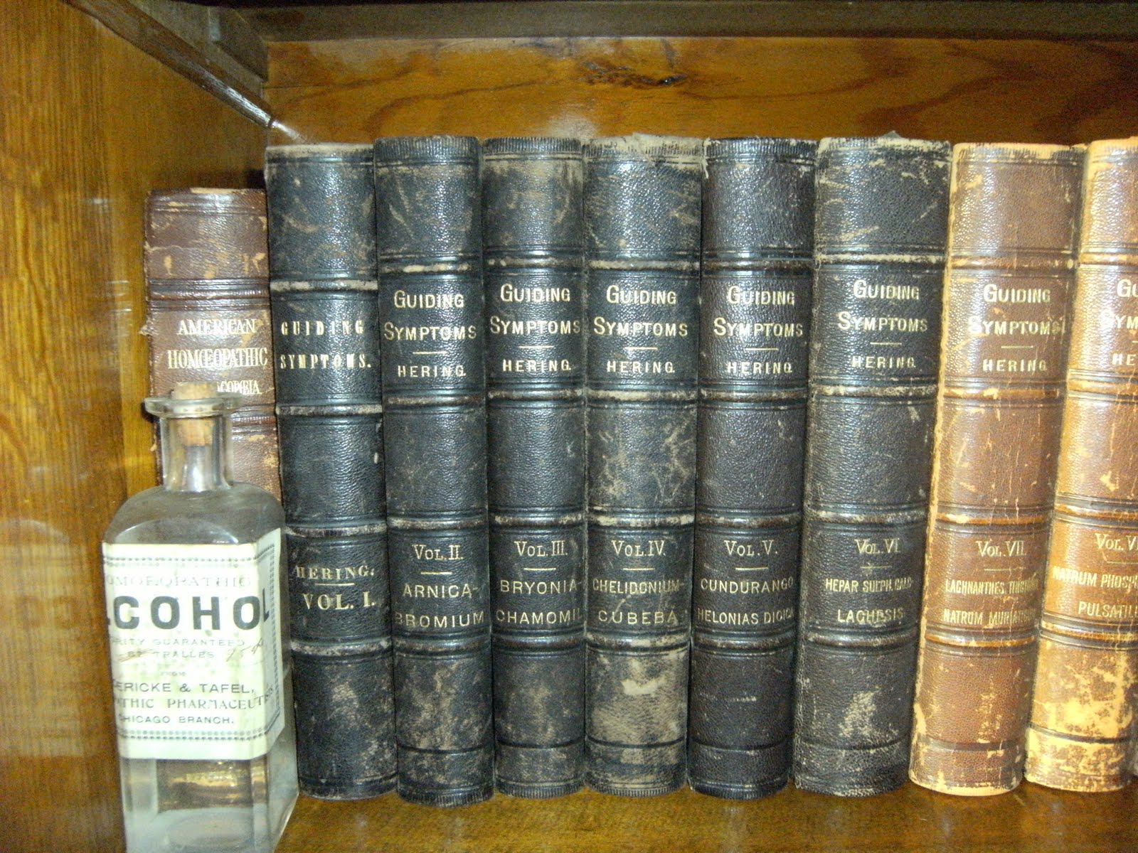 Dederick-Weaver-Herrin Genealogy