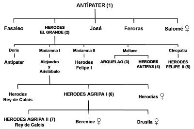 NUEVO TESTAMENTO I - S.B.C.: GENEALOGÍA DE ANTÍPATER