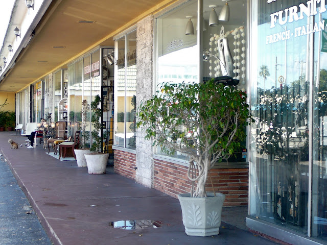 FOCAL POINT STYLING: NORTH MIAMI VINTAGE