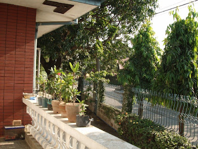 O'Days In the Field: Our Filipino House