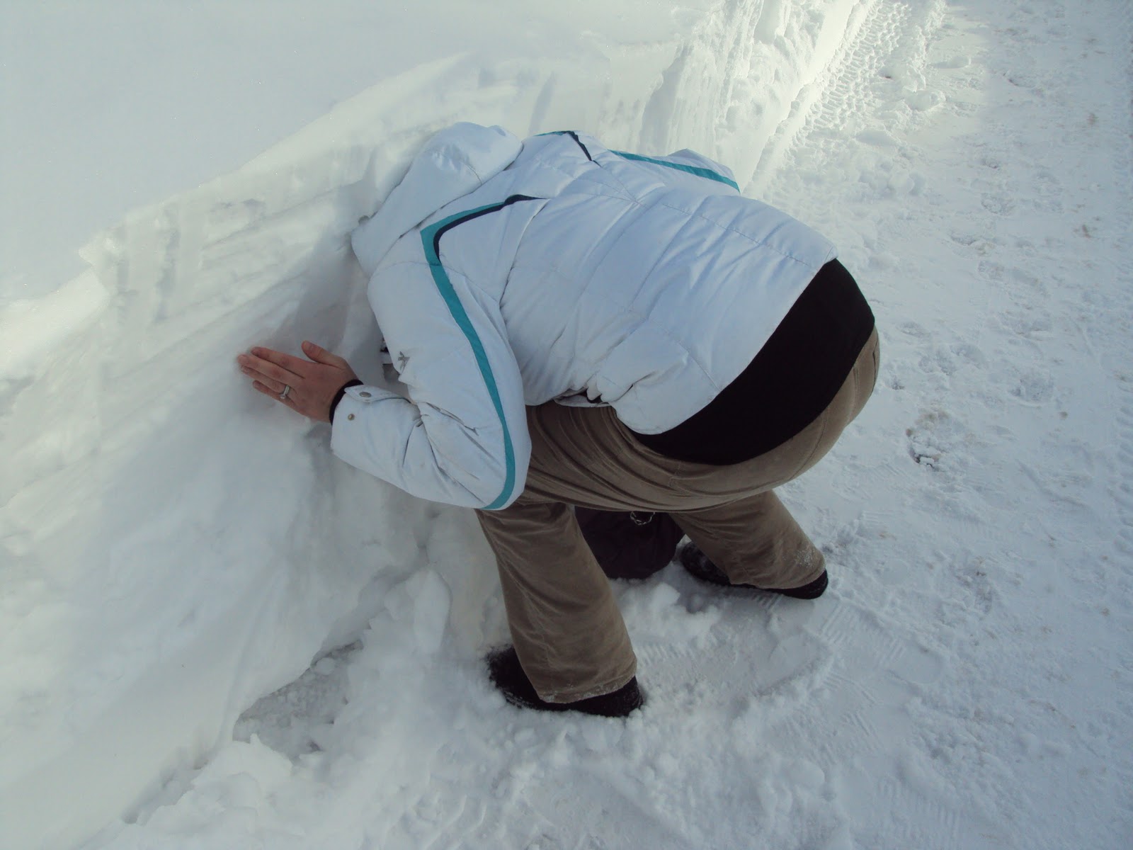 Held Together: We made it through the Blizzard!