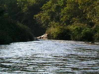 AADI: BHAVANI - The life line of Attappadi