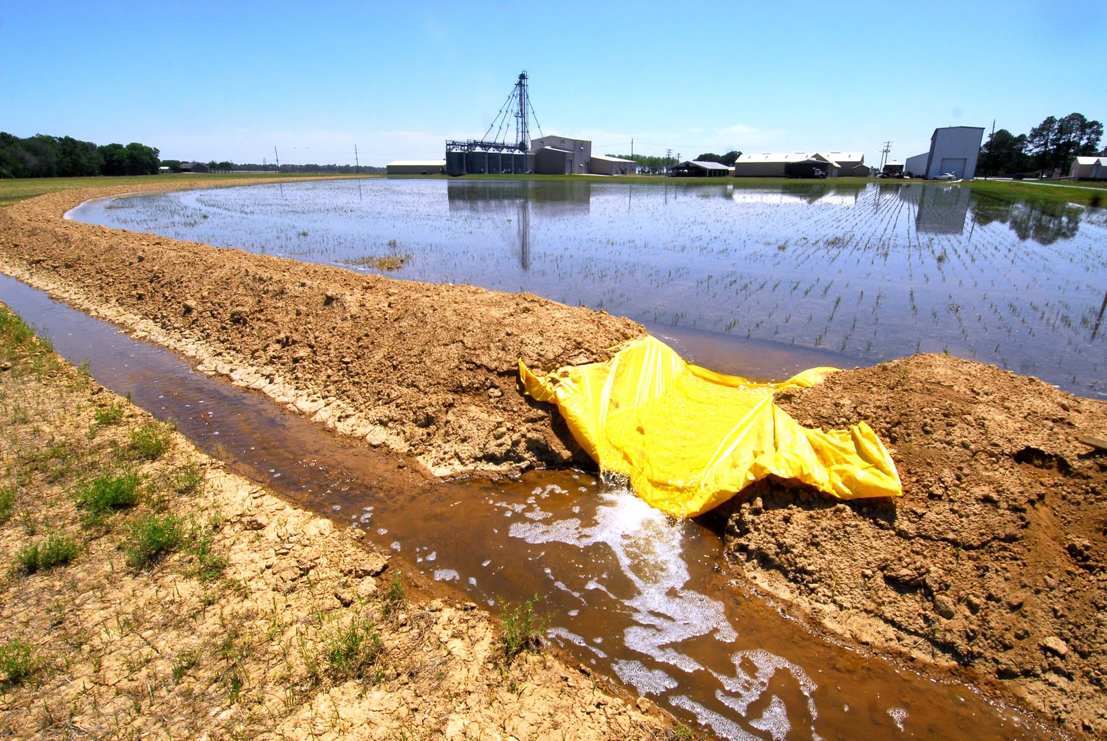 LSU AgCenter Rice Research Station: Pumping time