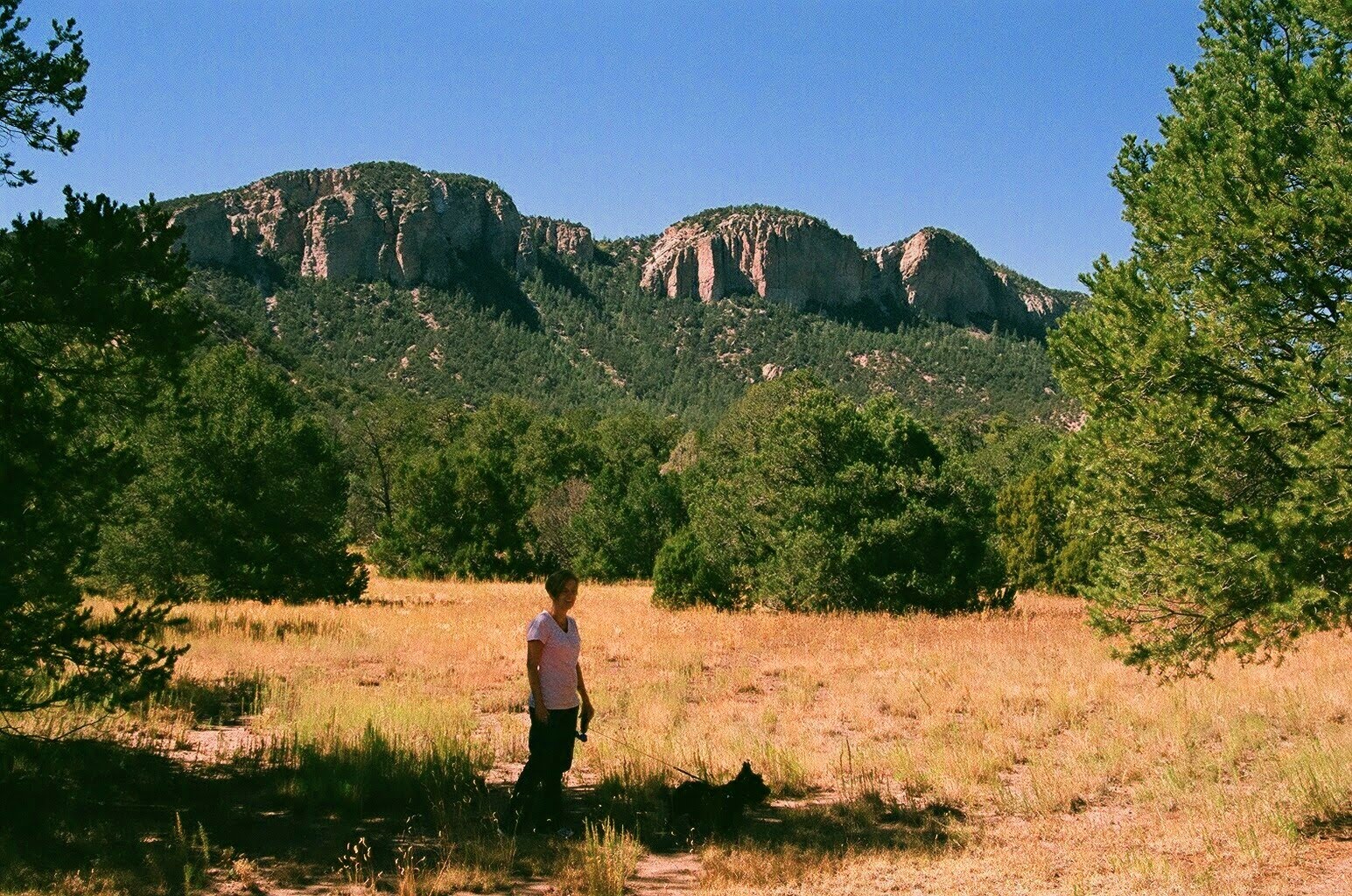 Southern New Mexico Explorer: Datil Mountains - Cibola National Forest