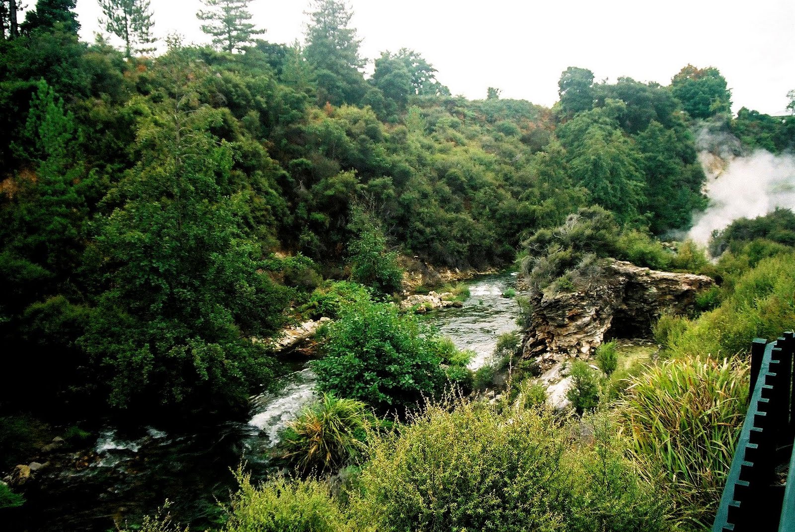Metta: Natural Spa of South Pacific - Rotorua, New Zealand