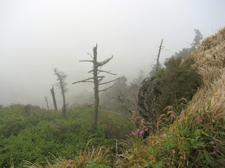 Snowboarding In Korea: My Chiri-san Trek