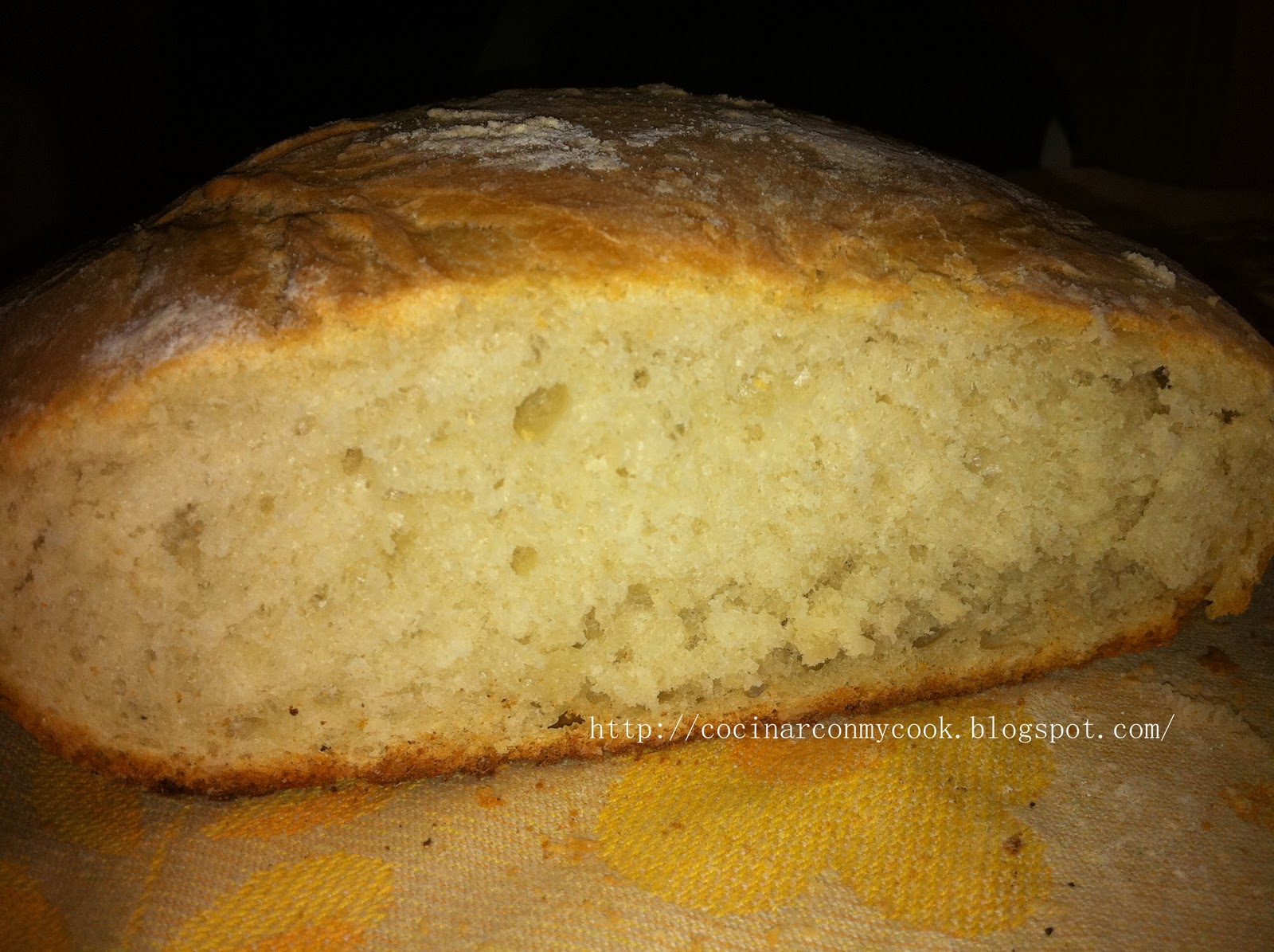 Cocinar con MyCook: PAN PANERO