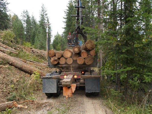 northern idaho or bust!: Driveway happens. Log picker upper is cool.