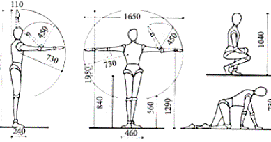 La antropometria: La Antropometria Y La Ergonomia