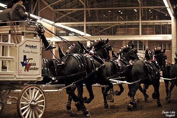 Percheron International: WPC > Avec L'Attelage Publicitaire Priefert