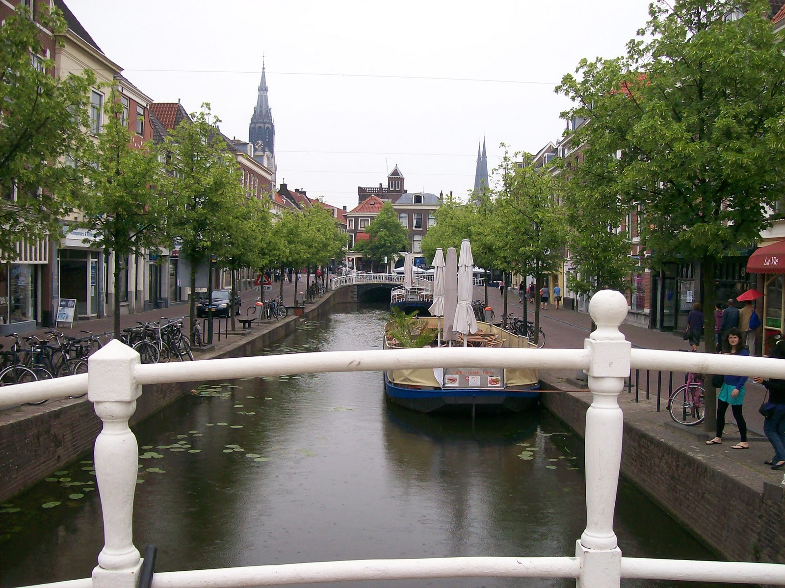 New in the Netherlands