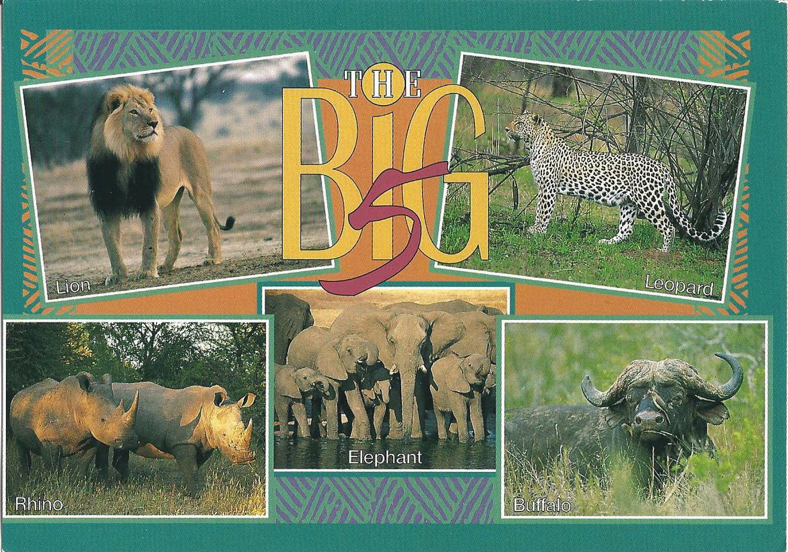 A Plethora of Postcards: The Big Five