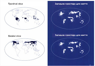 ARCHcLAB: MVRDV: METACITY/DATATOWN