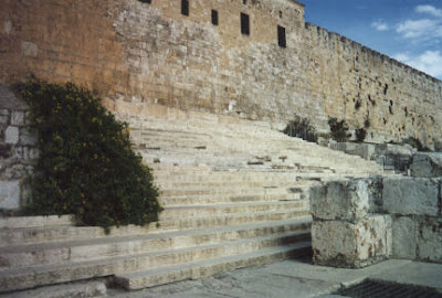 Lessons From The Land: The Rabbi's Teaching Steps