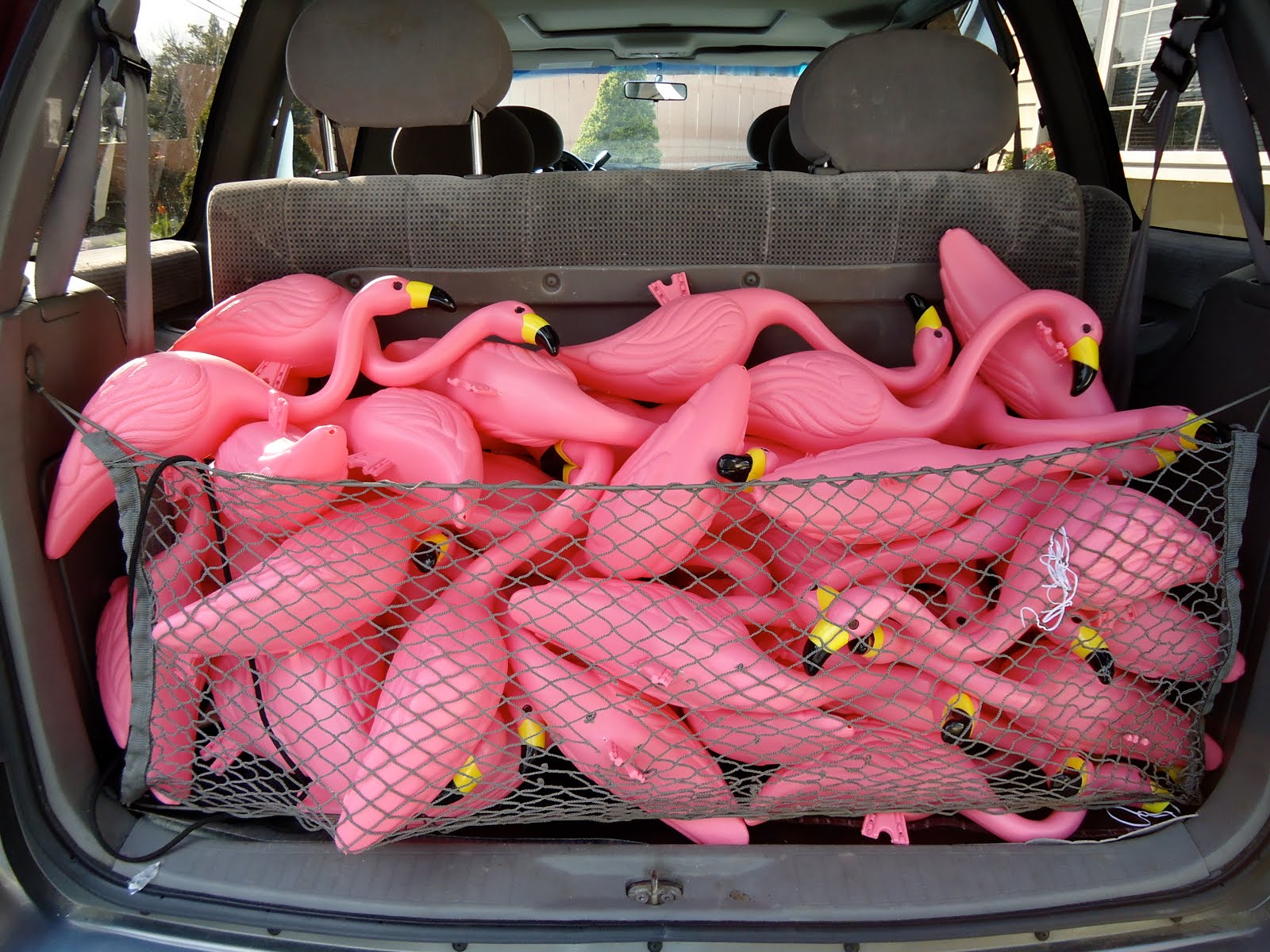 Flamingo Flocking: Prep Work for Flamingo Flocking