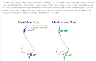 Nose Revision Surgery and Surgeons: The Nose Tip: Dimensional Analysis 101