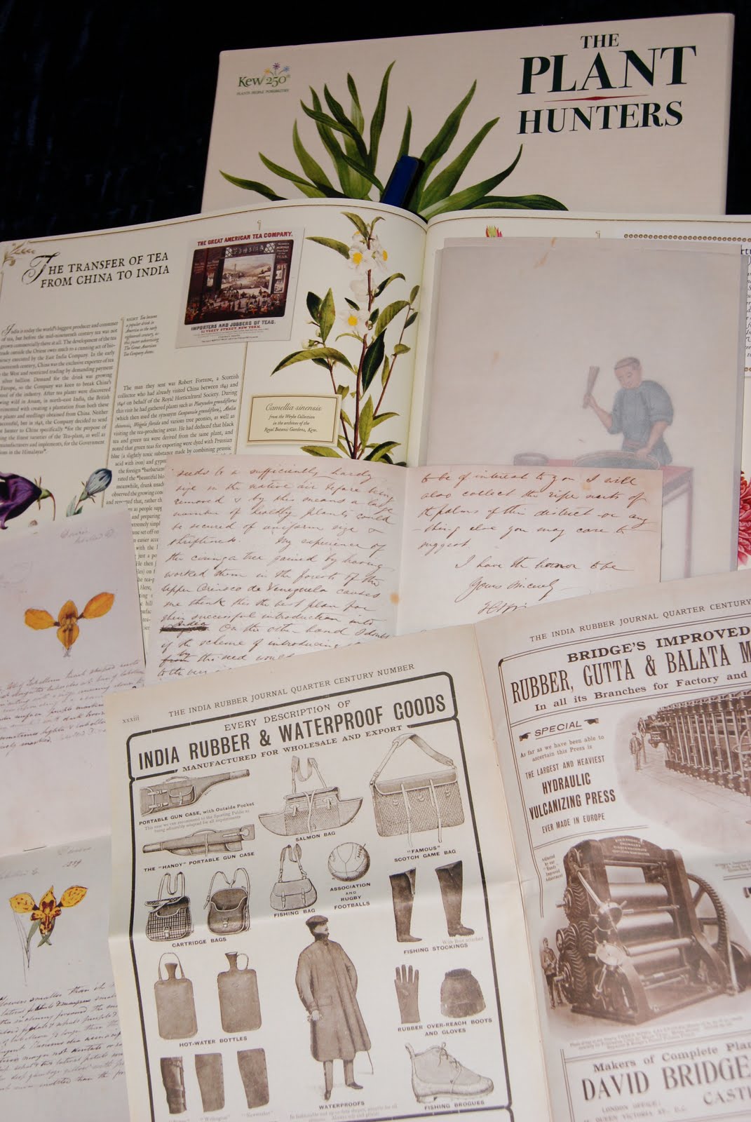 "Weirdbeautiful": Bookshelf- Number 1- "Plant Hunters" by Carolyn Fry"