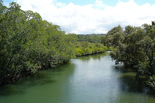 Loon: Attractions of Loon Town