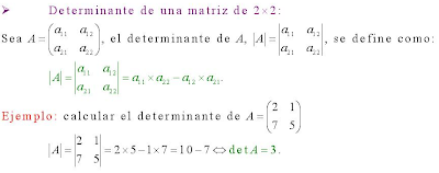 DETERMINANTE DE UNA MATRIZ DE DIMENSIONES 2X2 | Ejercicios de Matemáticas