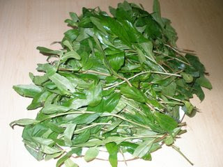 Kugan's Kitchen: Manjal Karisalankanni Keerai