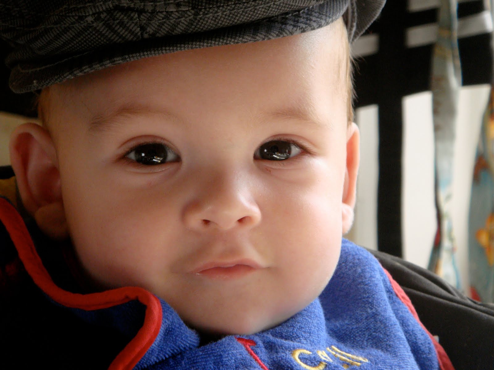 O Bebe da Chris: Bebe Celebridade