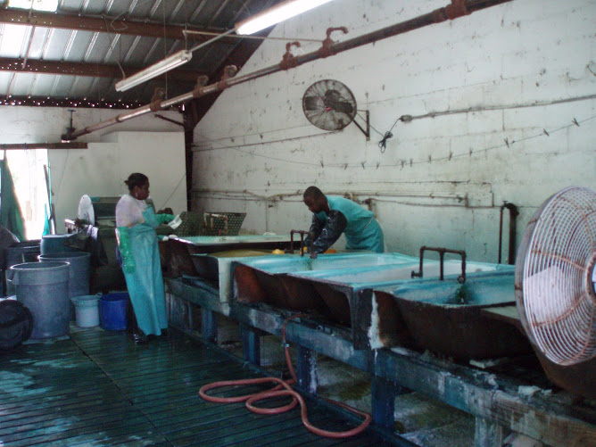 ANDROS ISLAND: Androsia Fabric Video