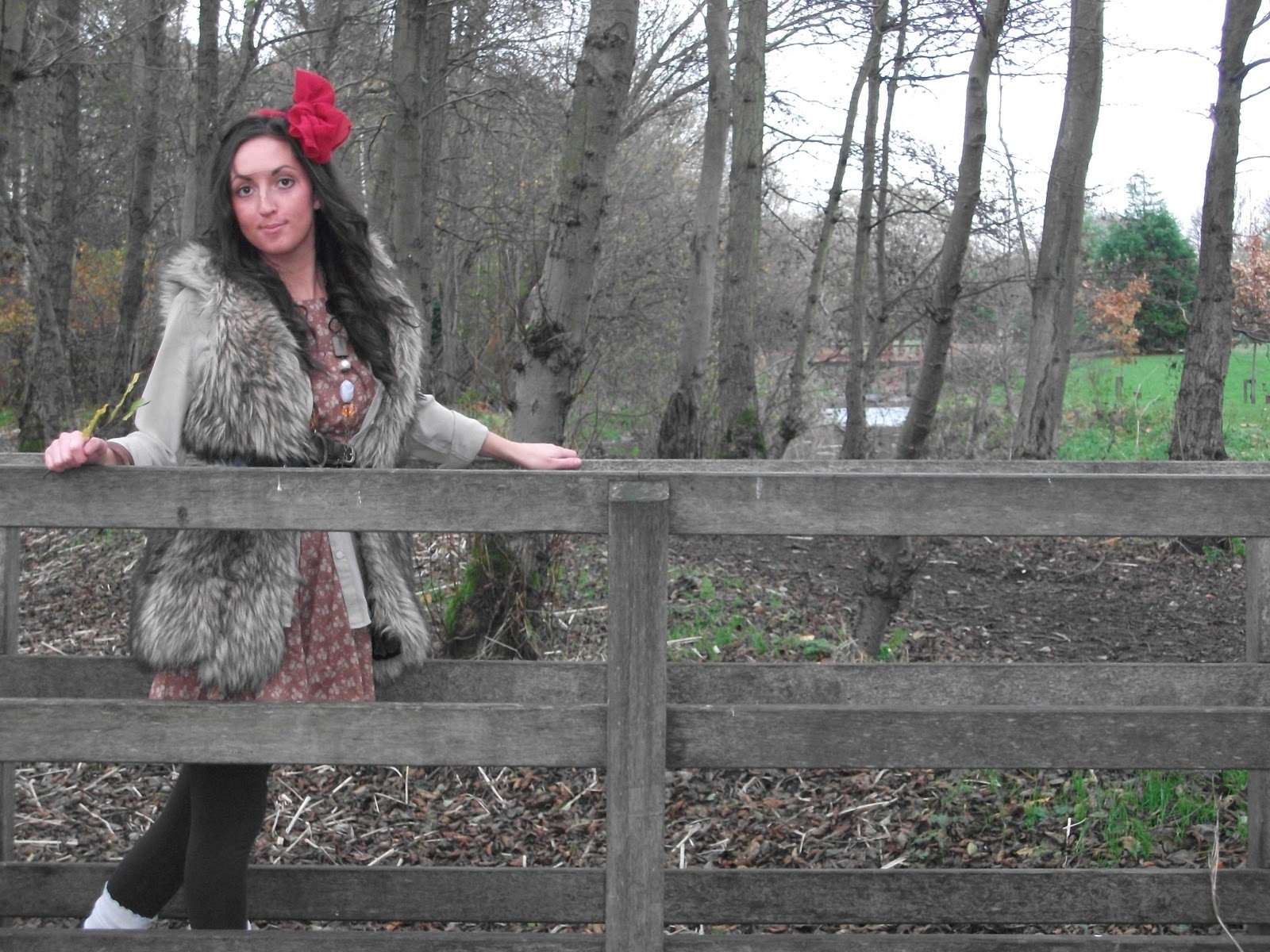 Leanne Muir: November 2010