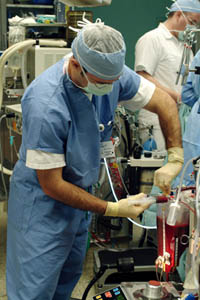 Who is Perfusionist ? ~ CV Nurse