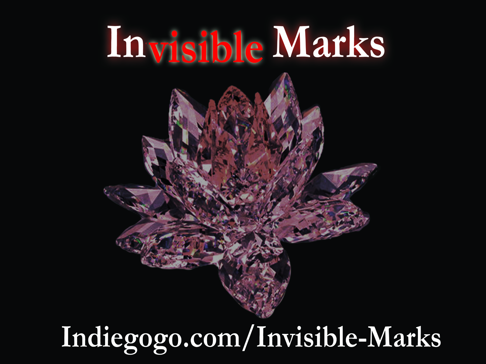 Invisible Marks: Downloads