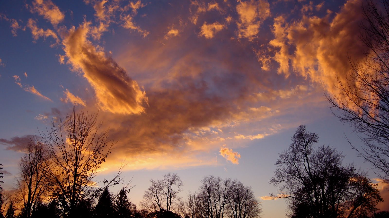 Sounds Like Canada: Springbank Park in the Fall