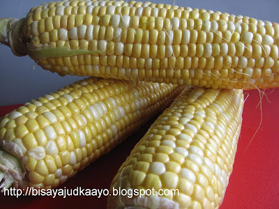 Inato lang Filipino Cuisine and More: MAIS CON QUESO ICE CREAM (Sweet ...