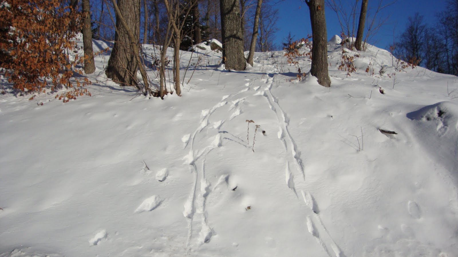 2 Sisters, DSC06253 @iMGSRC.RU amoreveral