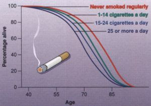 Correlation of lung cancer with smoking "the medical-up date"