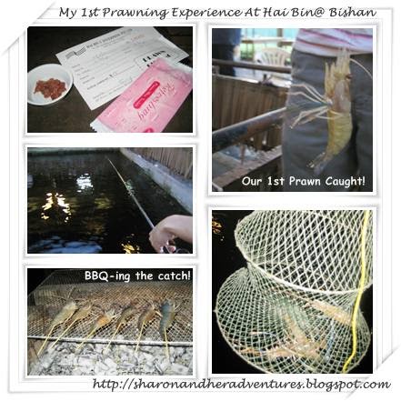 Sharon and her adventures...: My First Prawning Experience