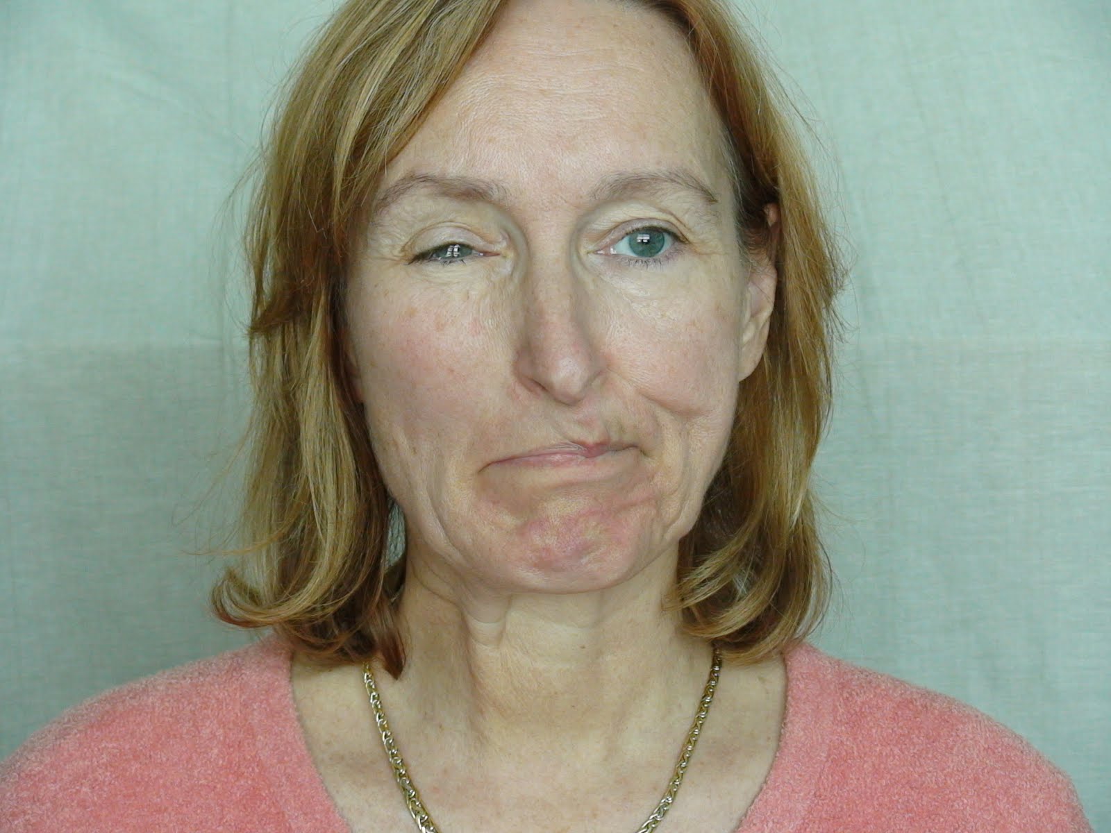 Deb's AN Adventure: Progress Report