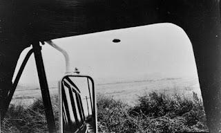 Sito Ufficiale Essi Vivono Noi Dormiamo...: Moria di animali