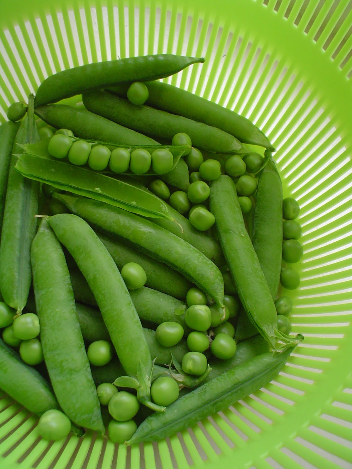 mijn andere passie: Doperwten