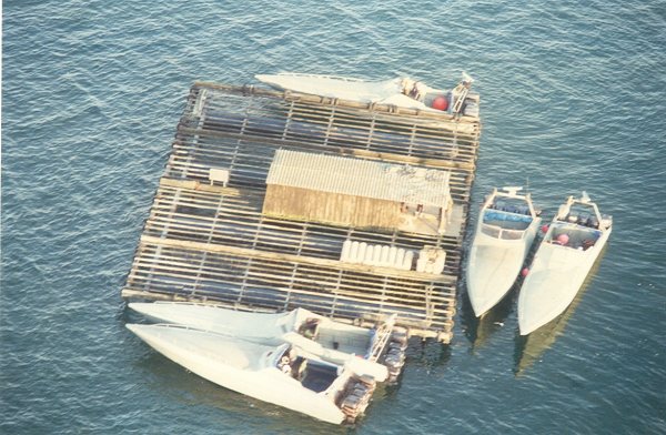 Historia del S.V.A.: Las planeadoras.