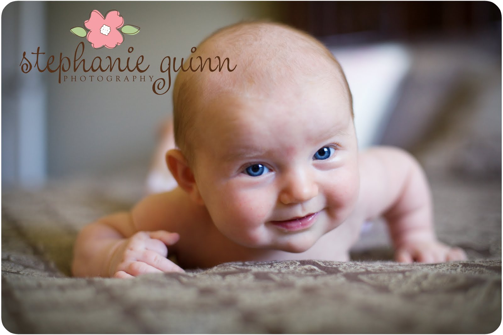 Stephanie Guinn Photography