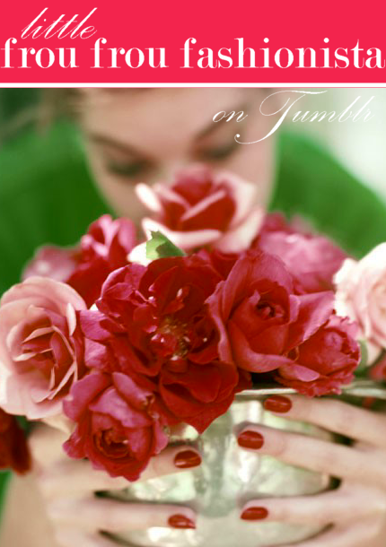 Introducing: Little Frou Frou Fashionista ~ Frou Frou Fashionista ...