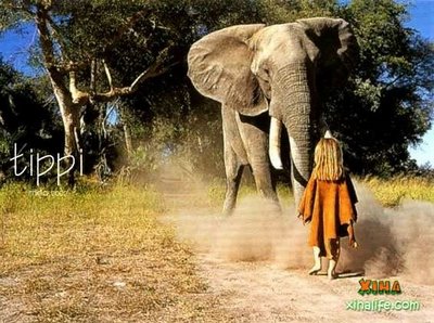 Tippi - the girl from Africa