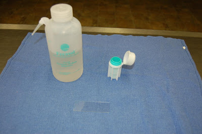 Arthur Veterinary Clinic: In House Diagnostic Tests: Part 1