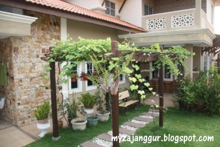 Amanda Putri's Garden: Pargola Anggur