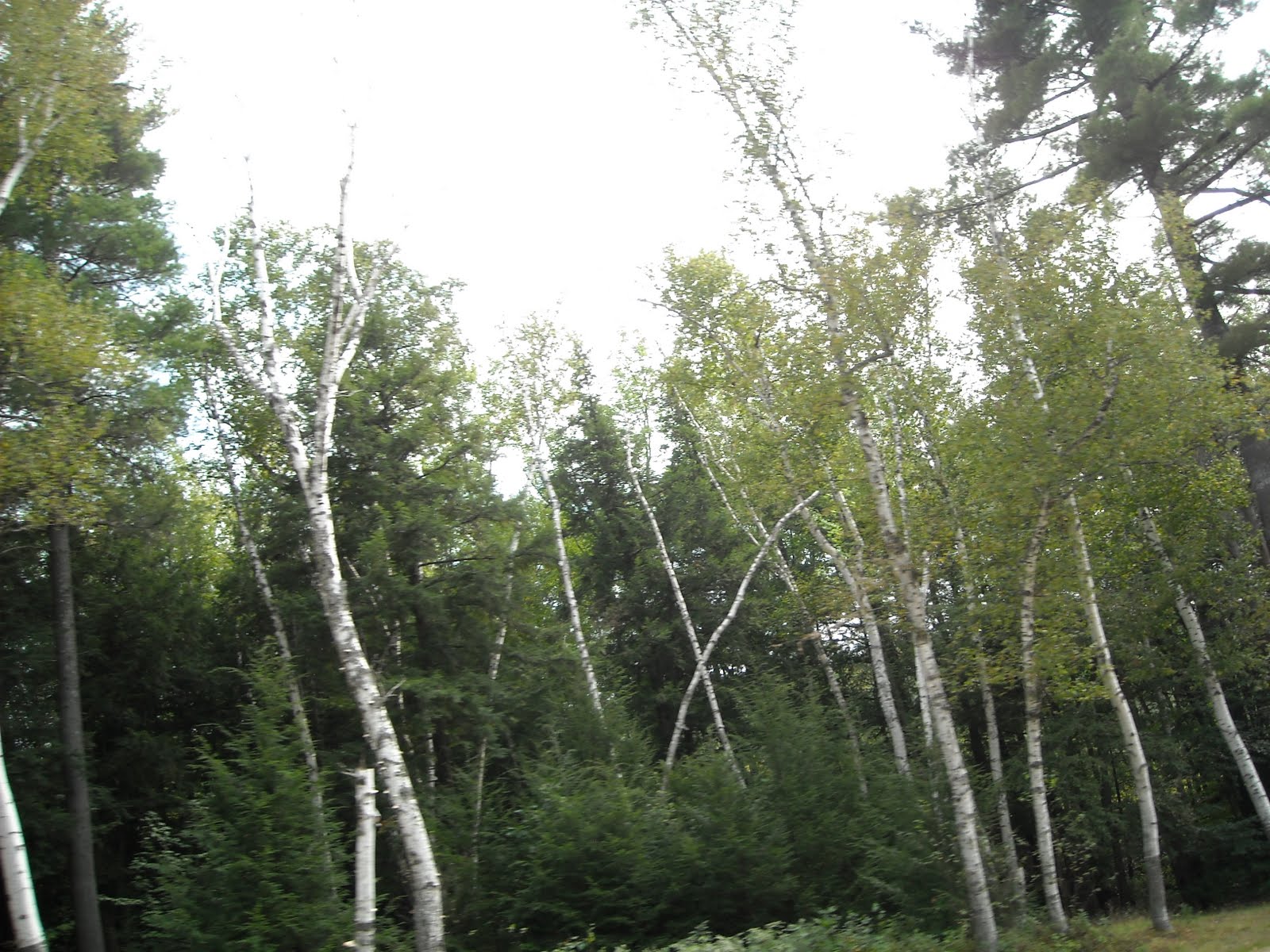 Have Retirement. Will Travel.: The White Mountains of New Hampshire