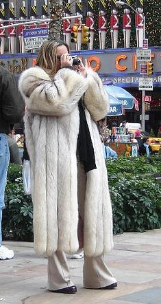 Mink Coats: Fur Coat Buying Guide