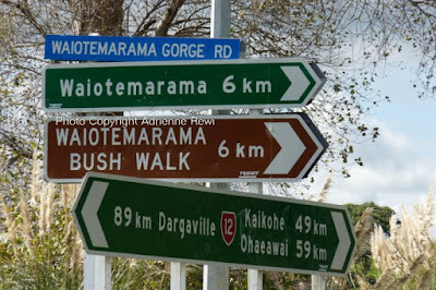 Introducing Maori Lifestyles: Maori Place Names - 65