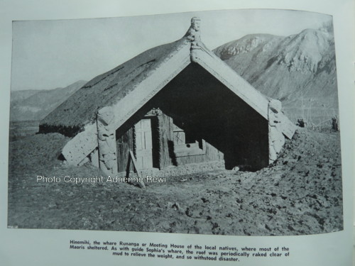 Introducing Maori Lifestyles: The Buried Village of Te Wairoa - A Book