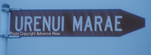 Introducing Maori Lifestyles: A Ngati Mutunga Marae