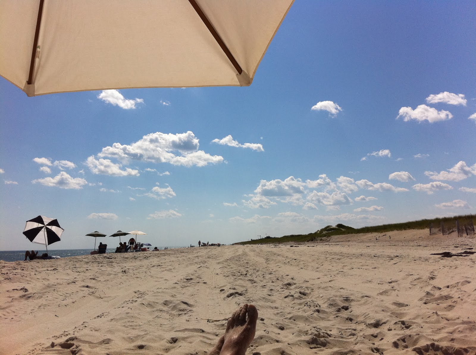 Bart Boehlert's Beautiful Things: A Week on Fire Island